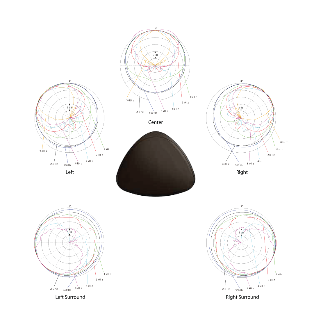 DPA 5100 | MicRentals.com